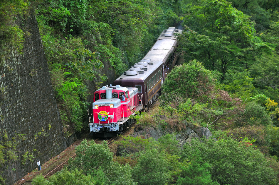 Kano鉄道局 DE10
